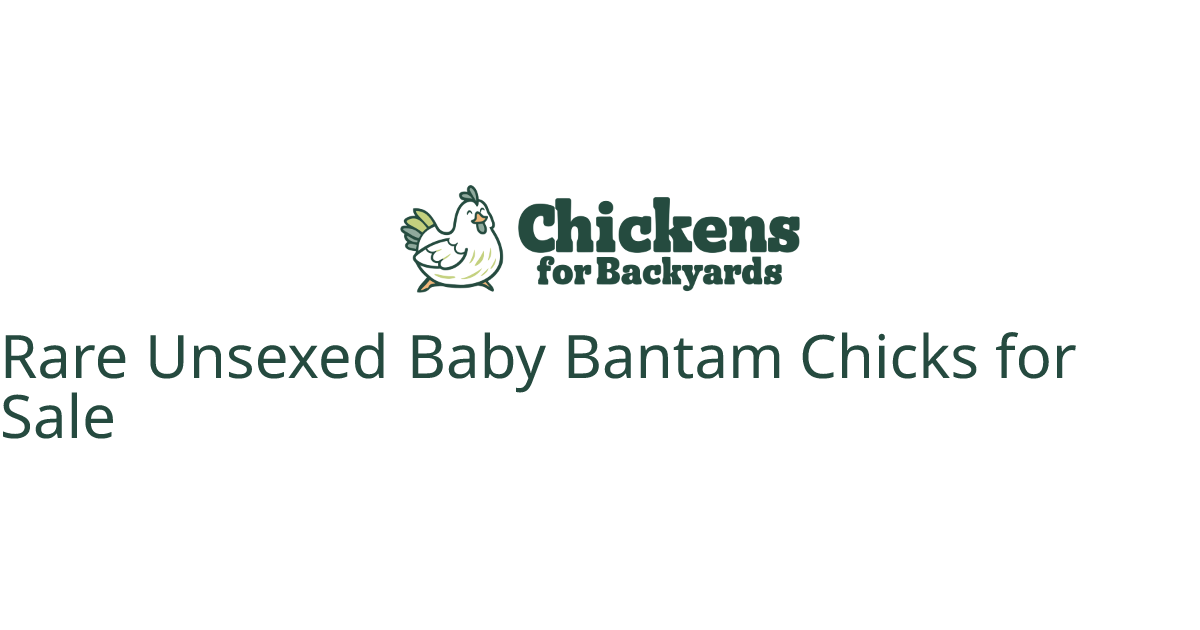 Rare Unsexed Baby Bantam Chicks for Sale | Chickens For Backyards